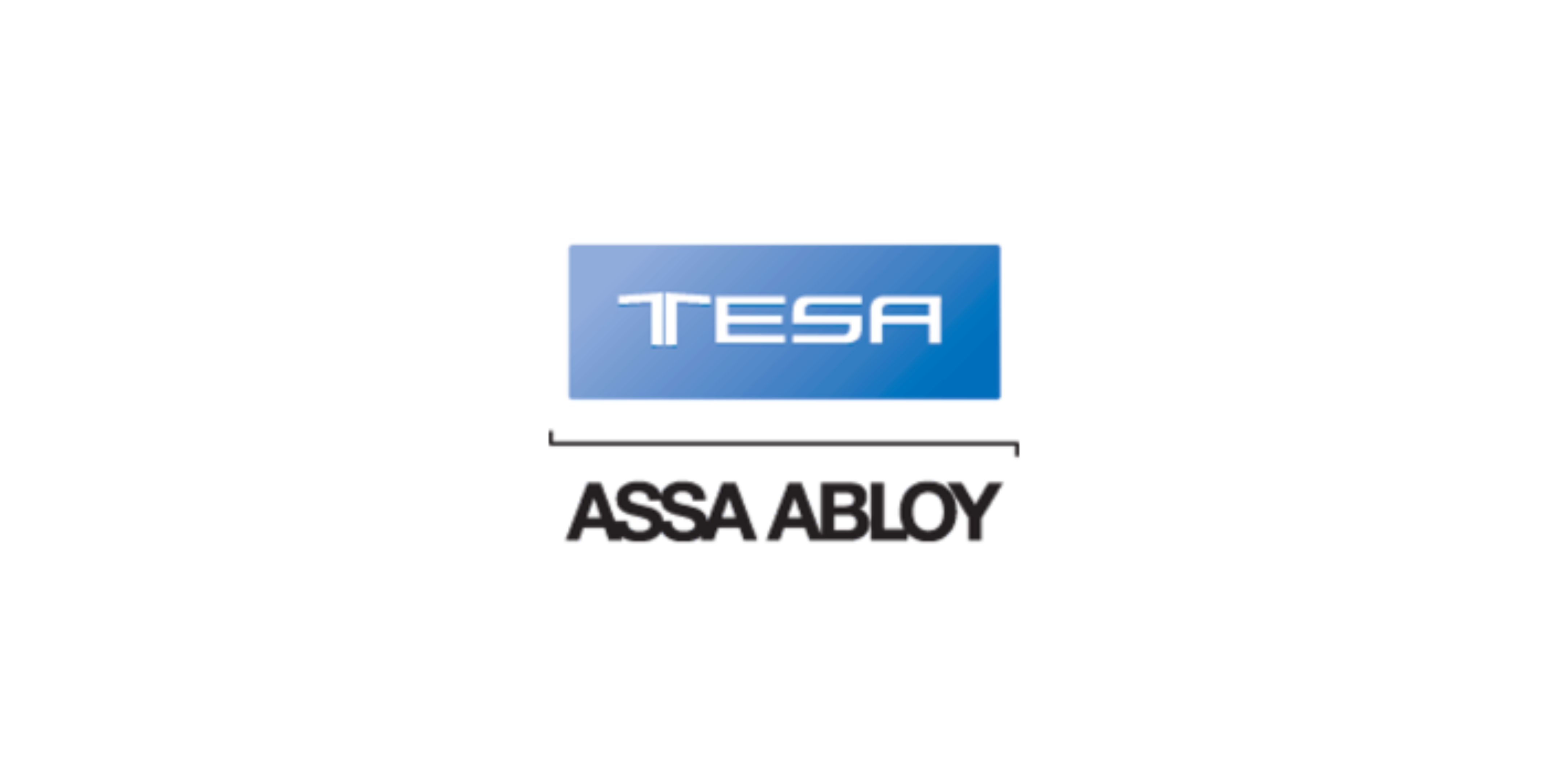 Tesa – Security-Keys